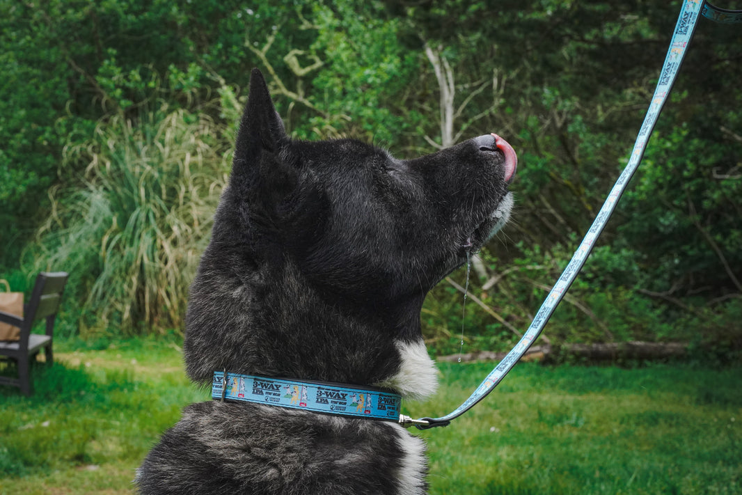 Swag – Fort George Brewery