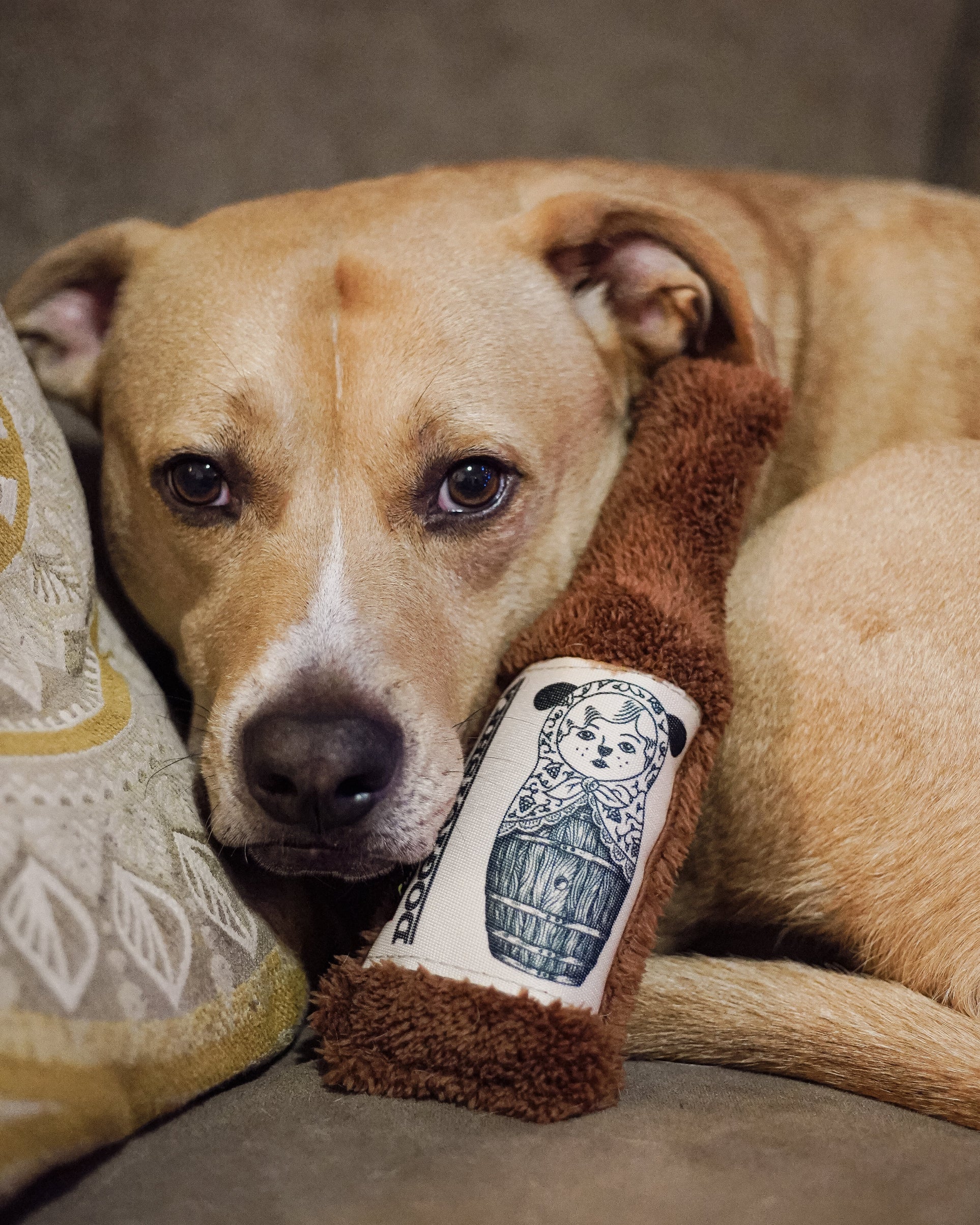 Cycle Dog - Dog Toys – Fort George Brewery
